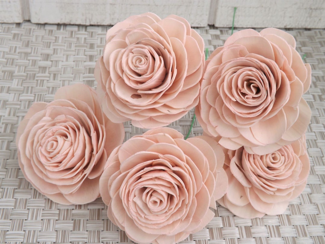 Blush Pink Sola Flowers, Beauty Rose, With Stems, Stemmed, DIY Bride ...