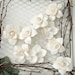 Sola Wood Flowers, Sola Lily Flower, 2, 6cm Natural Ivory Sola Flower ...
