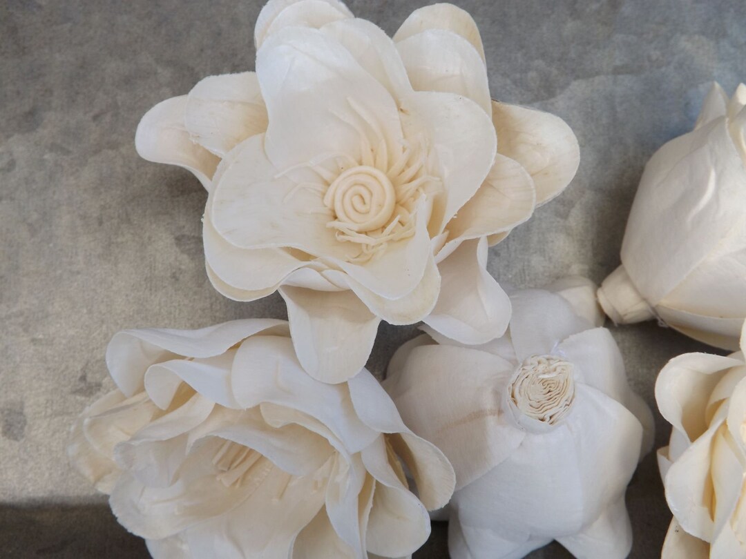 Sola Flower Set of 5 Wood Delphia Loose Flowers Natural - Etsy