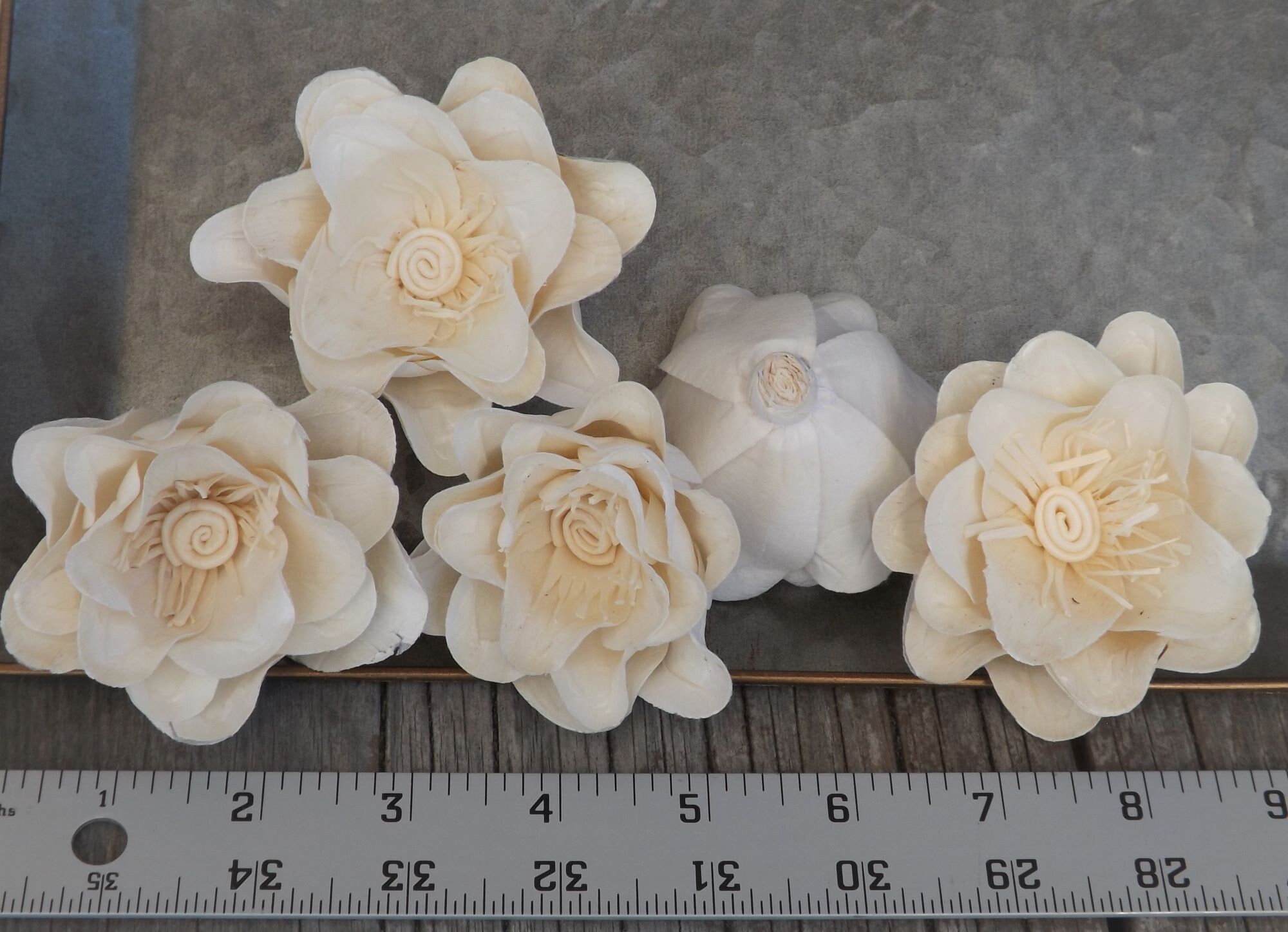 Sola Flower Set of 5 Wood Delphia Loose Flowers Natural | Etsy