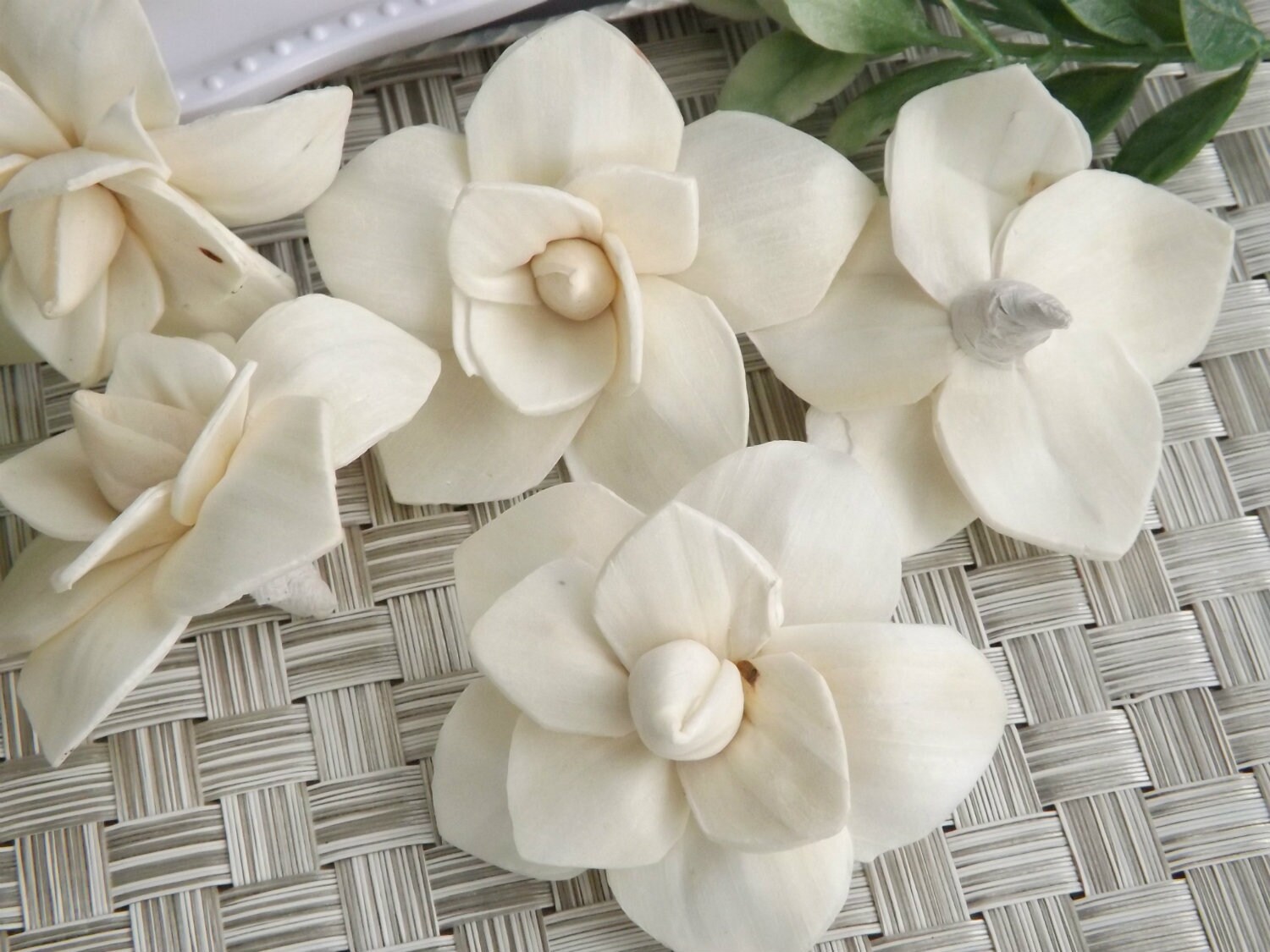 Sola Wood Flowers Sola Lily Flower 2 6cm Natural | Etsy