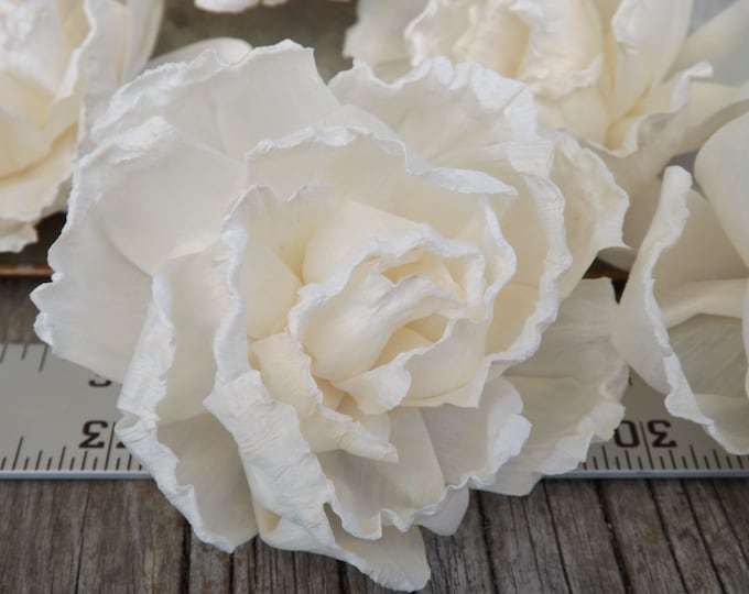 Sola Open Roses High Quality Sola Wood Flowers Set of 5 - Etsy