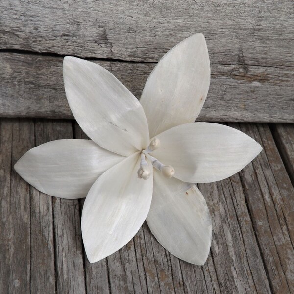 Sola Flower - Etsy
