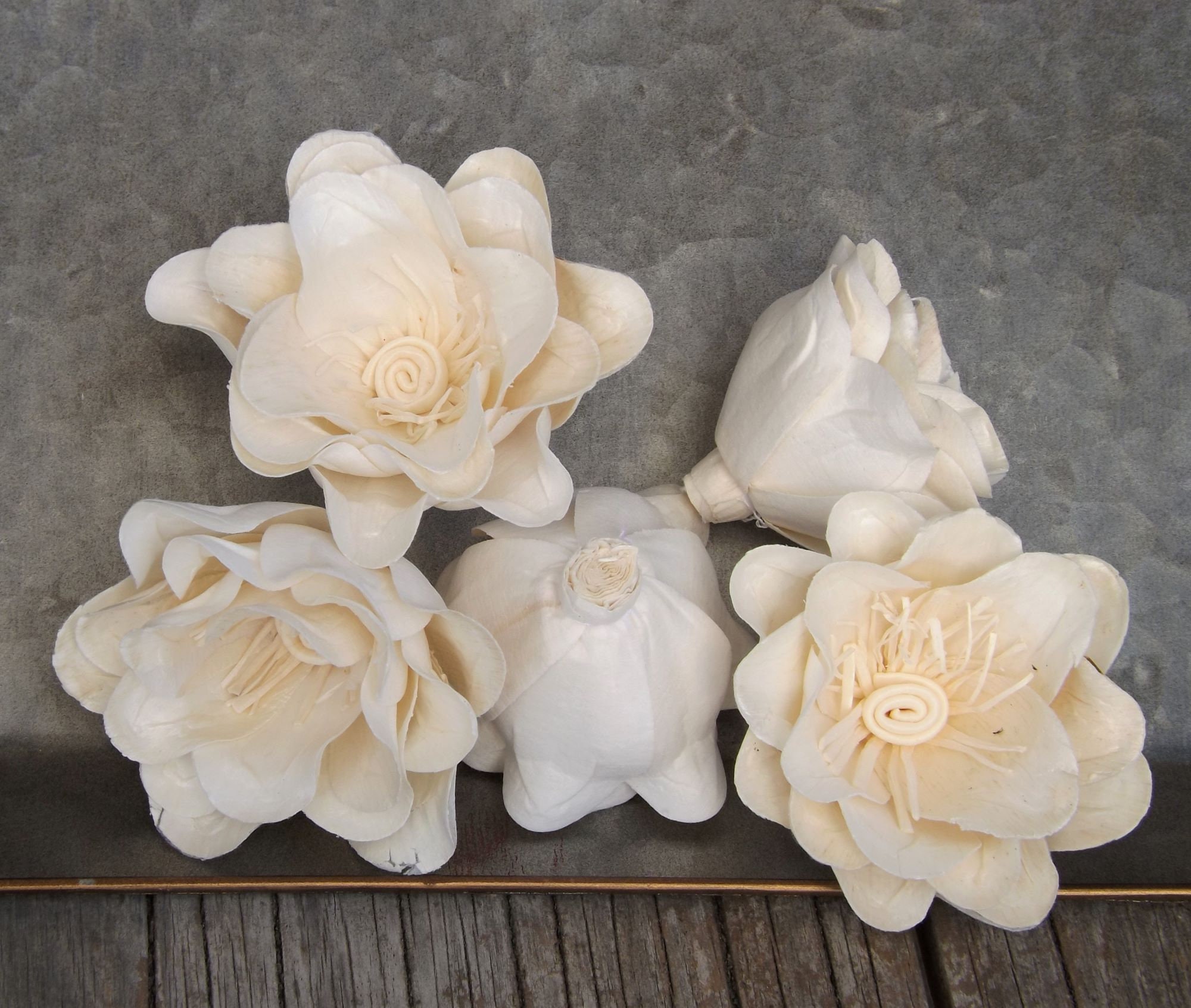 Sola Flower Set of 5 Wood Delphia Loose Flowers Natural | Etsy