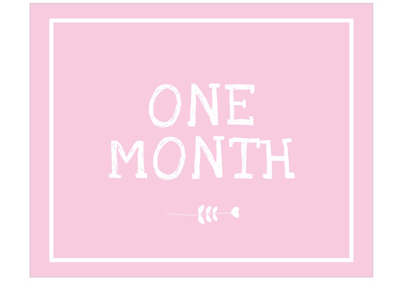 Baby's First Year Monthly Milestone Cards in PINK - INSTANT DOWNLOAD ...