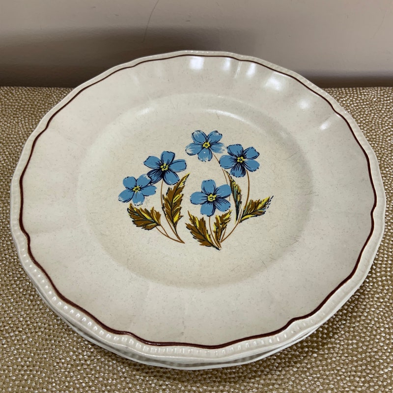 4 Dinner Plates - Etsy