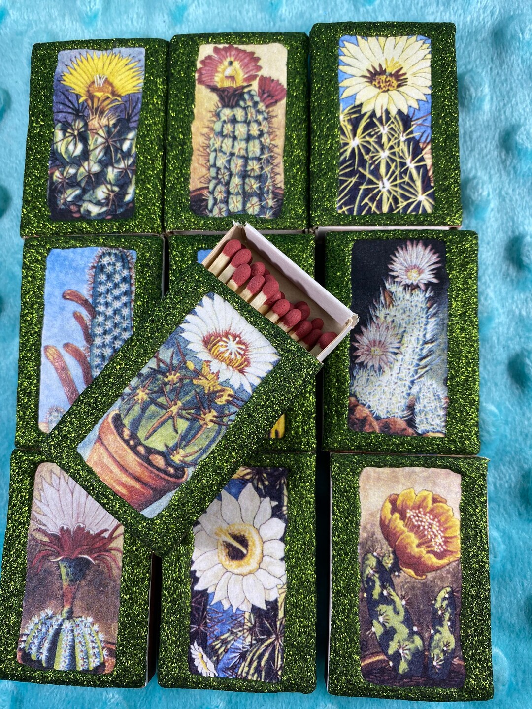 5 Cactus Succulents Matchbox Set Olive Green Wedding Favors - Etsy