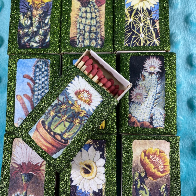 Cactus Matches - Etsy