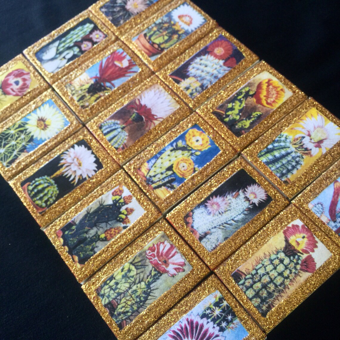 5 Cactus Succulents Matchbox Set Wedding Favors - Etsy