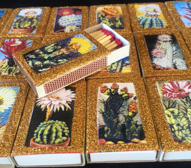 5 Cactus Succulents Matchbox Set Wedding Favors - Etsy
