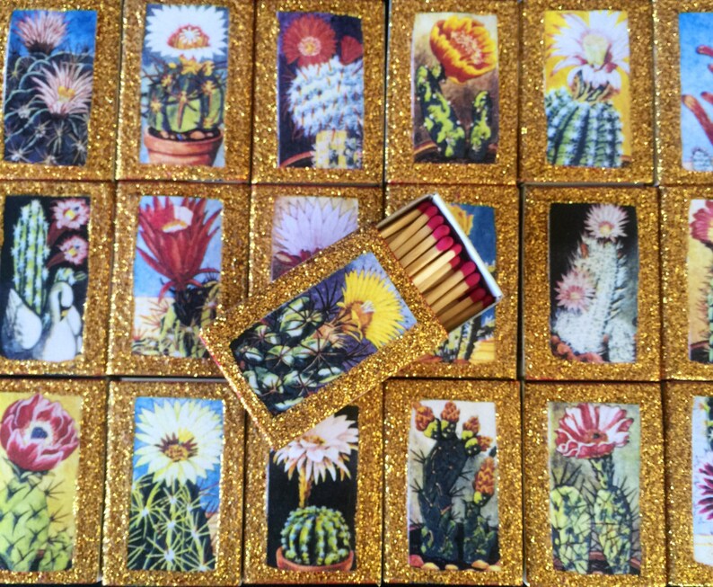 5 Cactus Succulents Matchbox Set Wedding Favors - Etsy