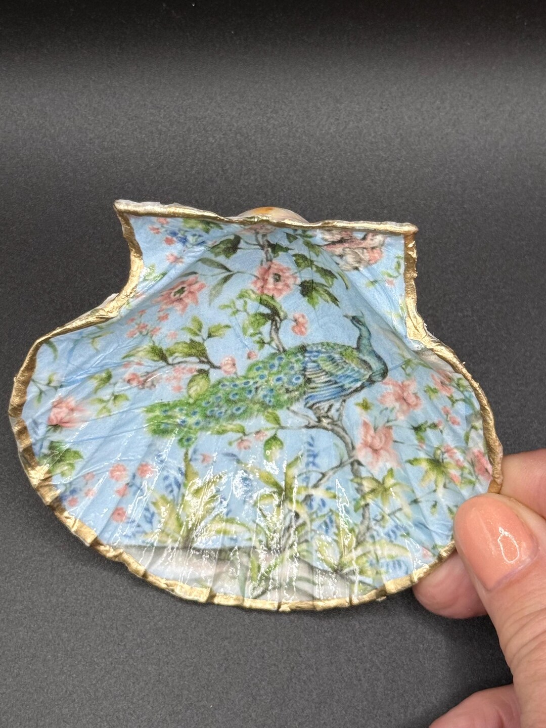 XL 4”-5” Scallop Seashell Dish- Jewelry- Trinket Tray - Light Blue ...