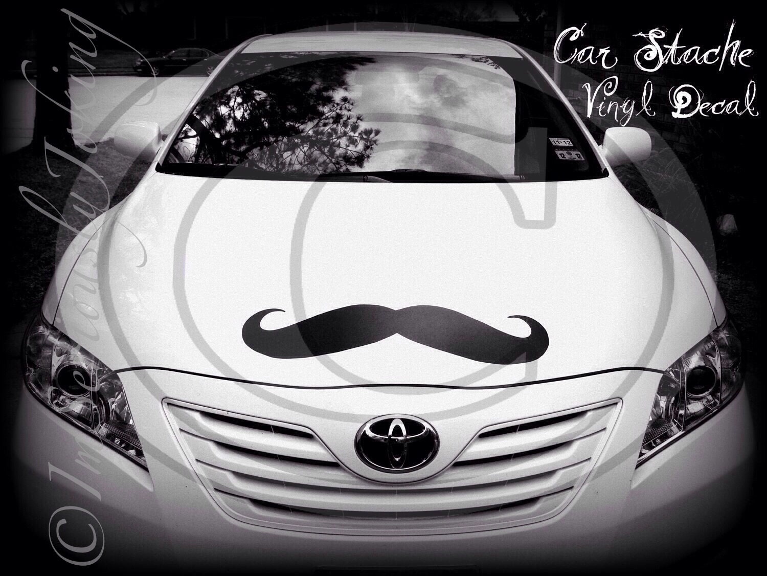 Giant Car Mustache Vinyl Decal Mustache Sticker-Car decal-The