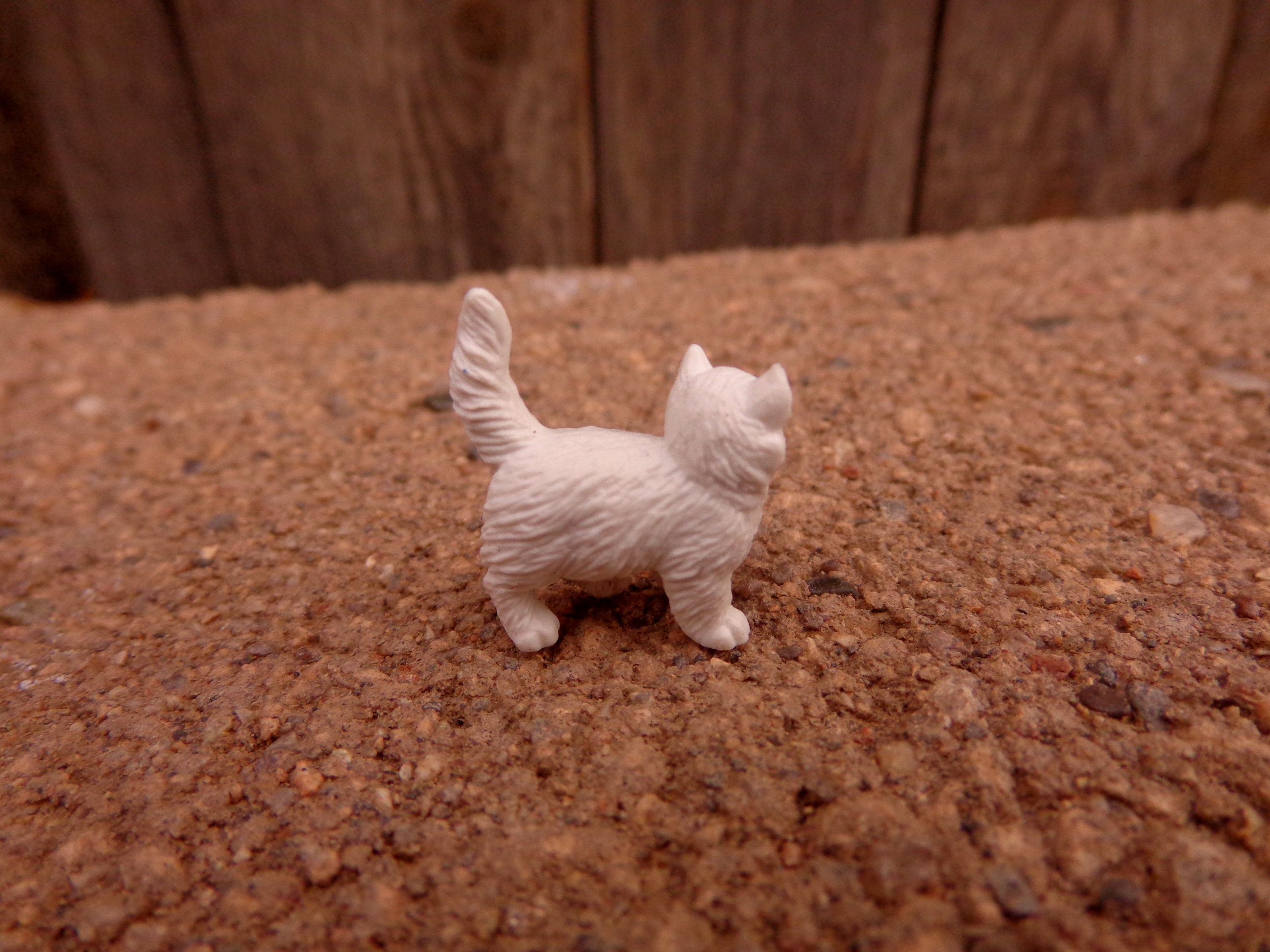 Miniature Plastic Cat Kitten Figure Nichos Fairy Gardens | Etsy