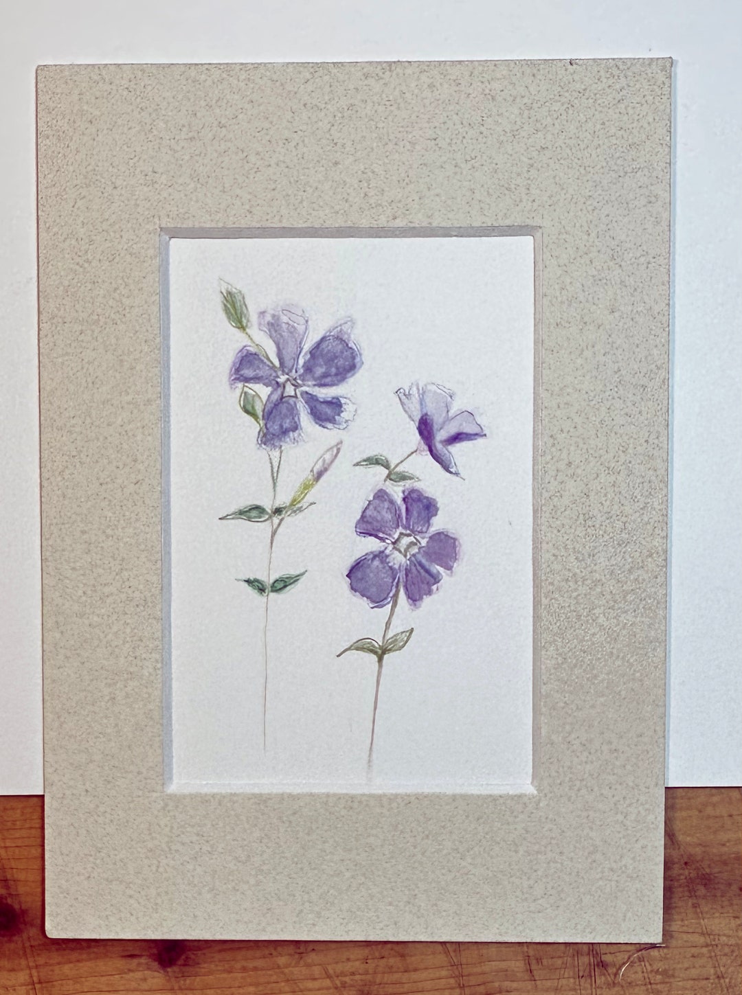 Periwinkle, Original Watercolor - Etsy