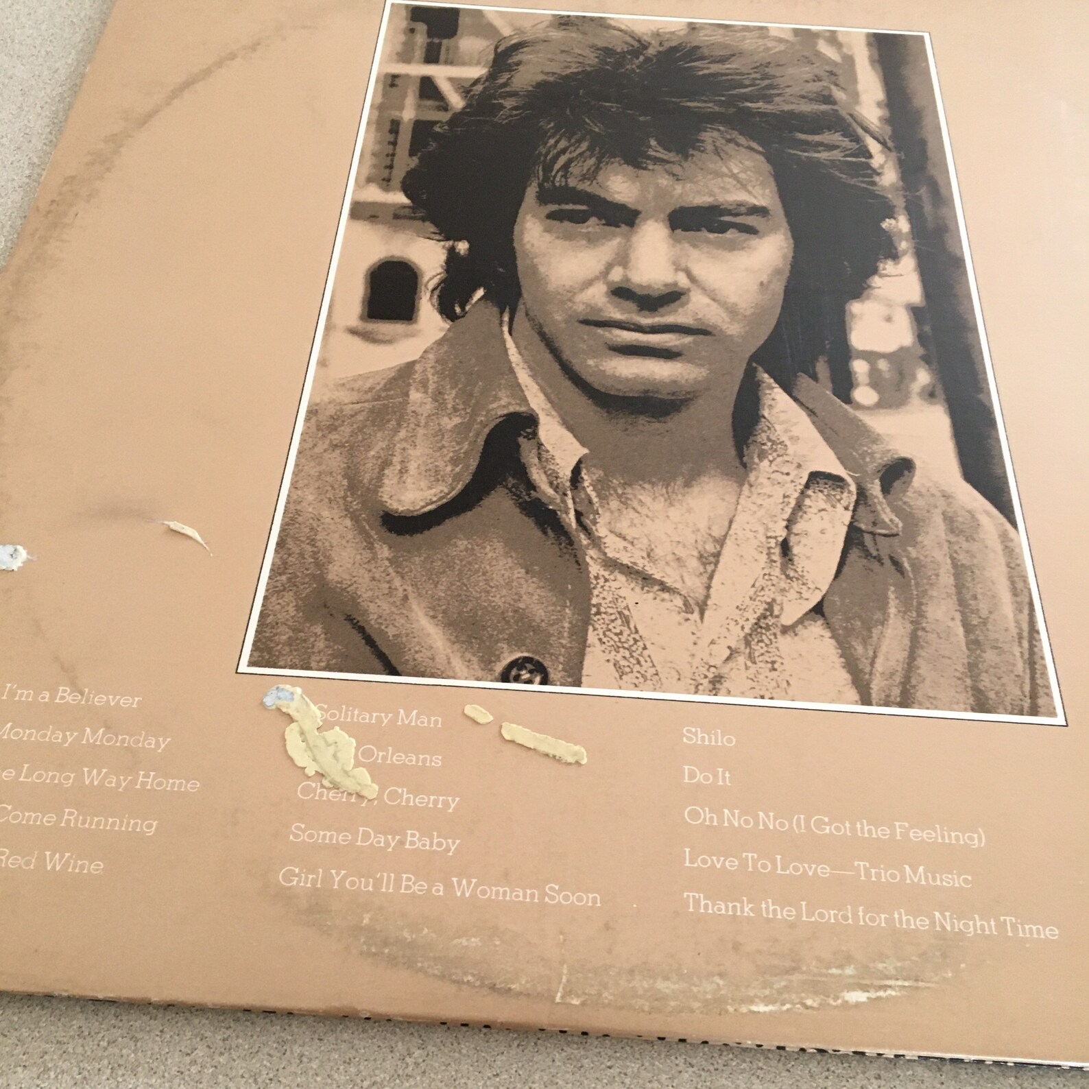 Neil Diamond Double Gold, 2XLP Vintage Vinyl Released 1973 Bang Records ...