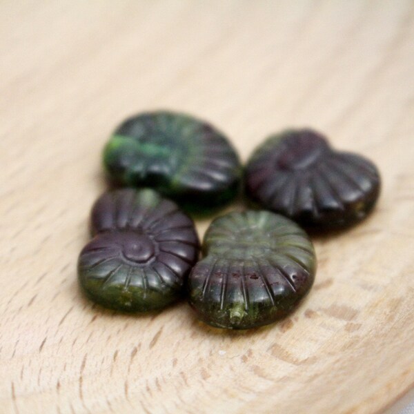 Nautilus Shell - Etsy