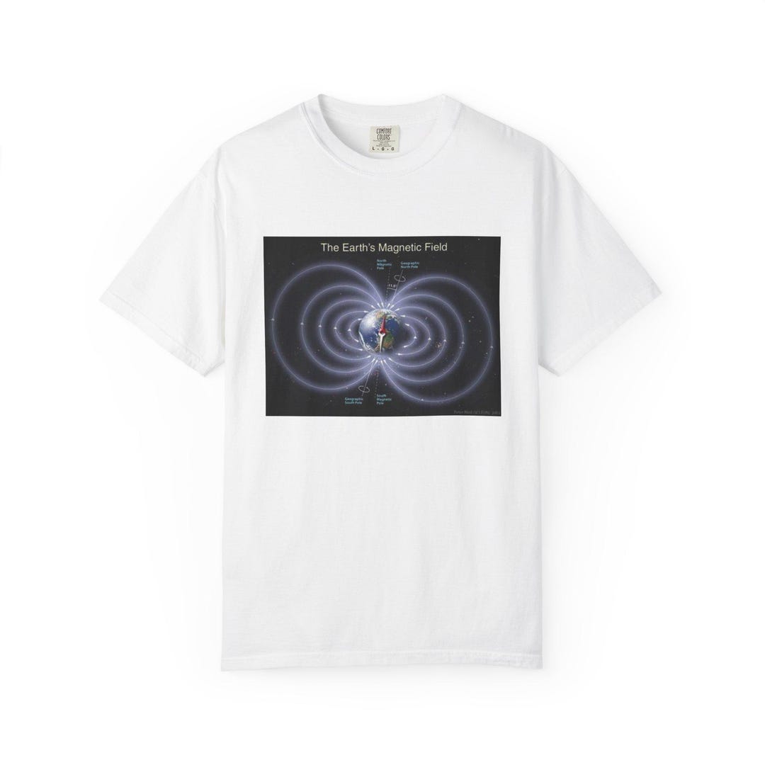 Schizo Earth Magnetic Field Torus Lines Tee | Comfort Colors 1717 ...
