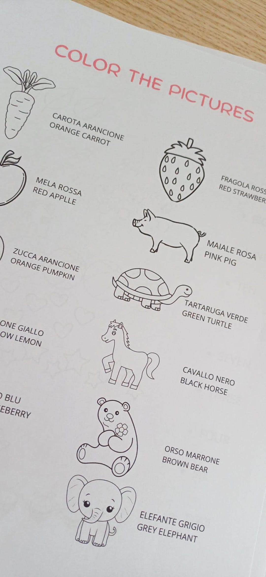 MY FIRST ENGLISH. Activities for Kids. Printable Pdf. Alphabet, Numbers ...
