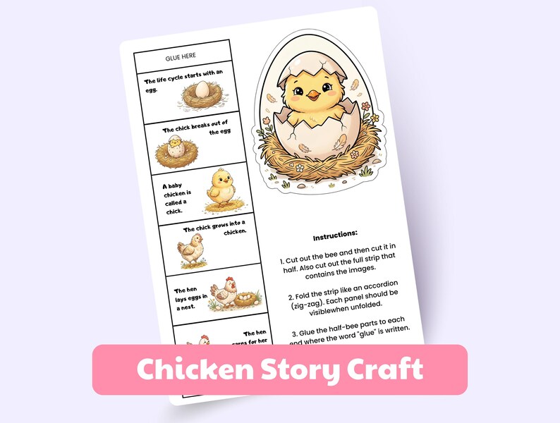 Chicken Life Cycle Folding Surprise Craft, Chick Life Cycle Printable ...