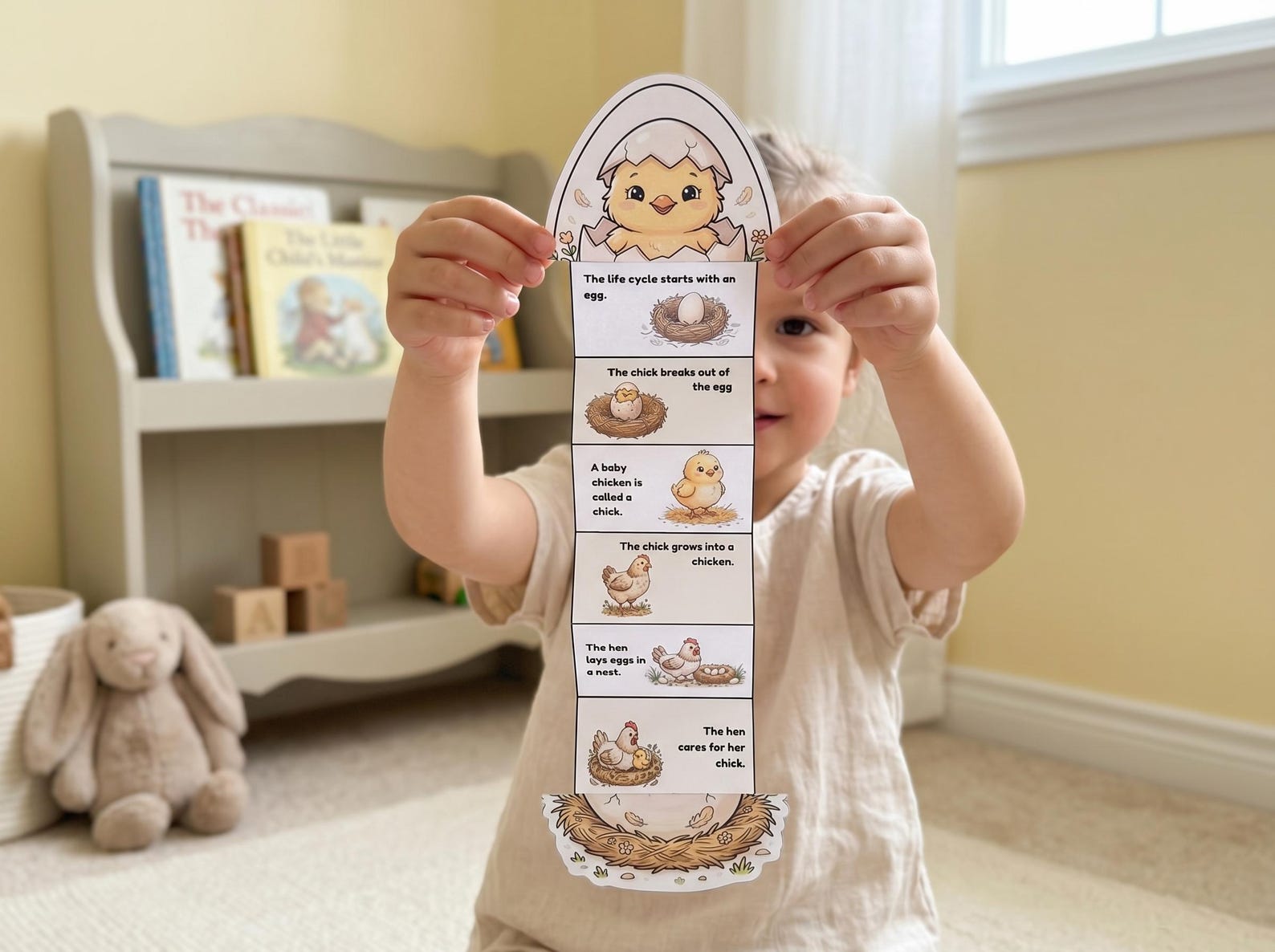 Chicken Life Cycle Folding Surprise Craft, Chick Life Cycle Printable ...