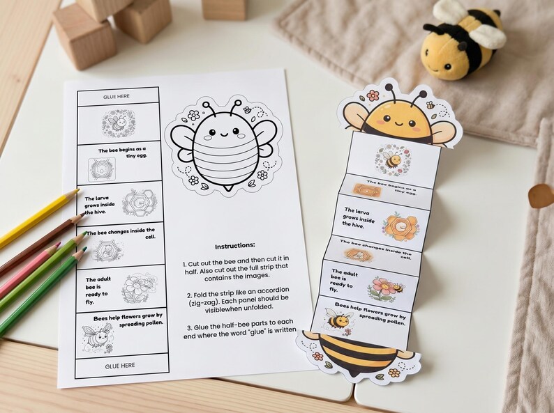 Bee Life Cycle Folding Surprise Craft, Bee Printable Activity for Kids ...