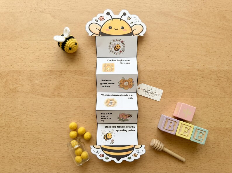 Bee Life Cycle Folding Surprise Craft, Bee Printable Activity for Kids ...