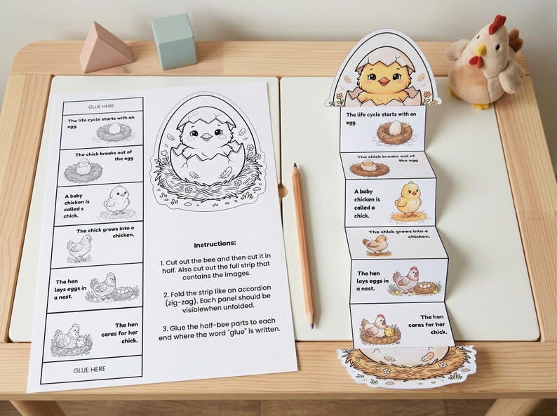 Chicken Life Cycle Folding Surprise Craft, Chick Life Cycle Printable ...