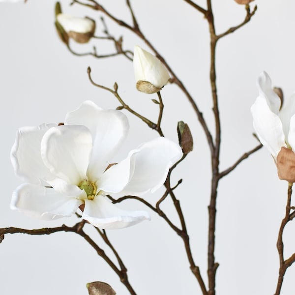 Magnolia Branches - Etsy