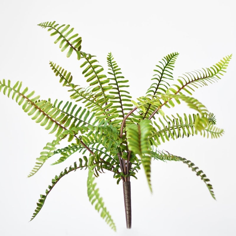 Realistic Artificial Ferns - Etsy