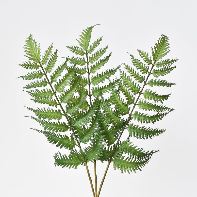 Faux Ferns With Vase - Etsy