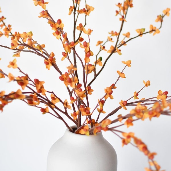 Bittersweet Garland - Etsy