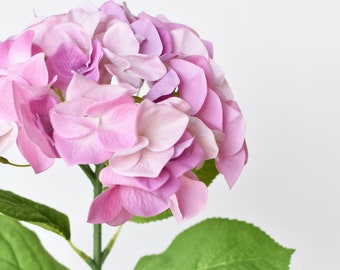 23 Faux Coral Real Touch Ranunculus Stem - Etsy