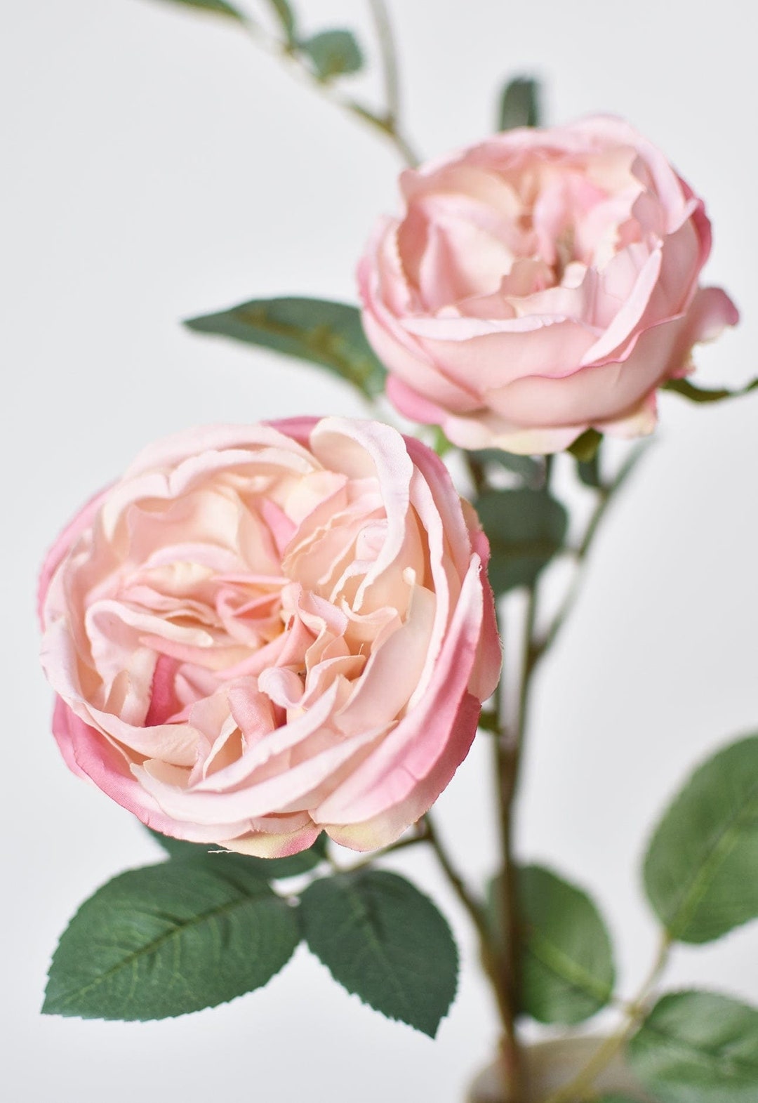 29 Faux Light Pink Cabbage Rose Stem - Etsy