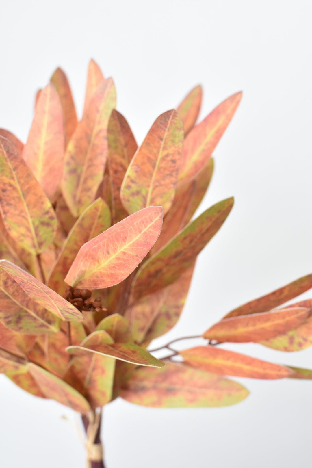 15" Faux Fall Color Eucalyptus Bundle - Etsy