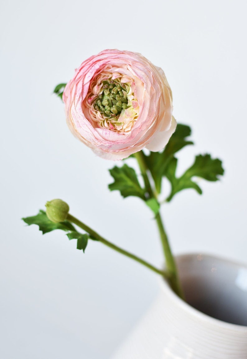 13 Faux Blush Ranunculus Stem - Etsy