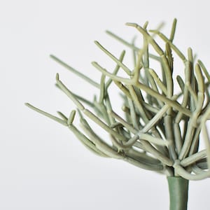 8" Faux Soft Touch Green/gray Pencil Cactus Pick - Etsy
