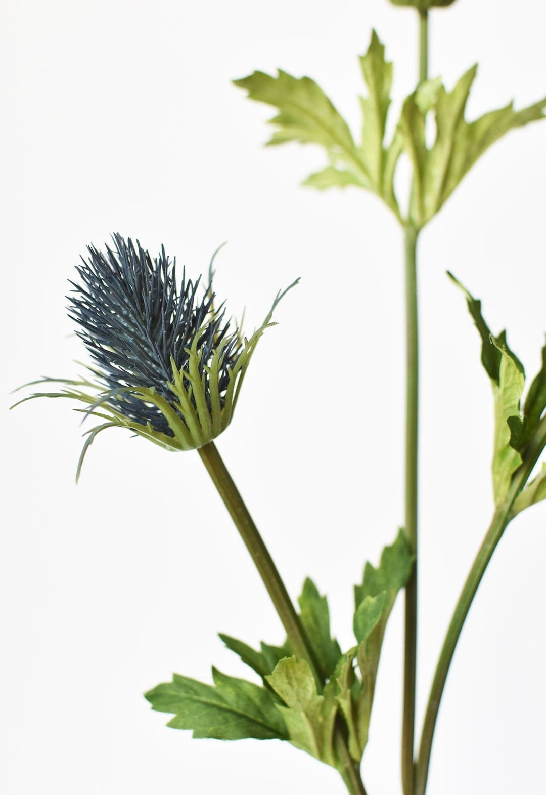 32.5" Faux Blue Thistle Stem - Etsy