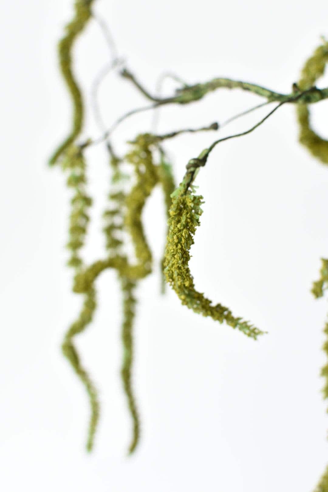 35" Faux Fuzzy Amaranthus Branch Stem - Etsy