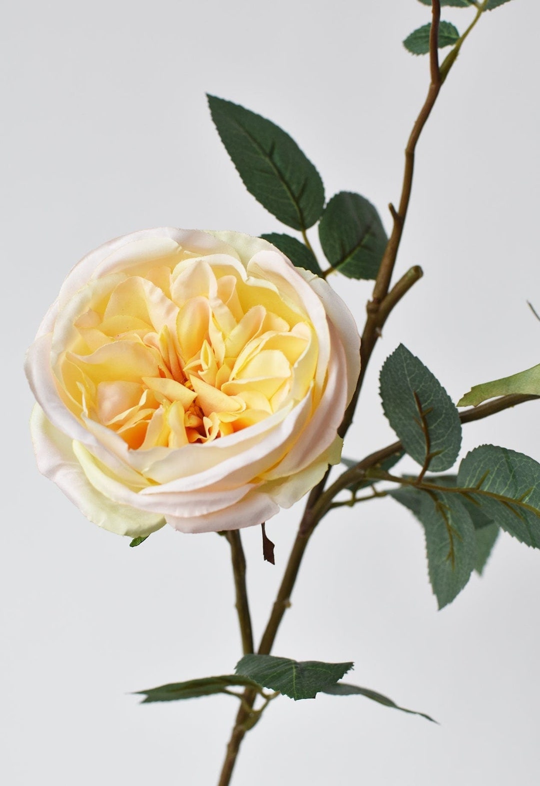 29" Faux Cabbage Rose Stem Yellow / Apricot - Etsy