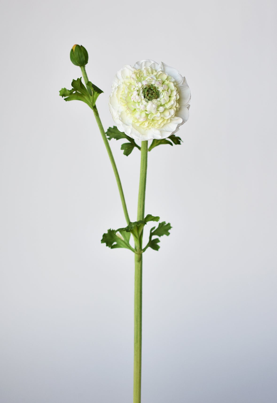21" Faux Double Ruffled Ranunculus Stem White - Etsy