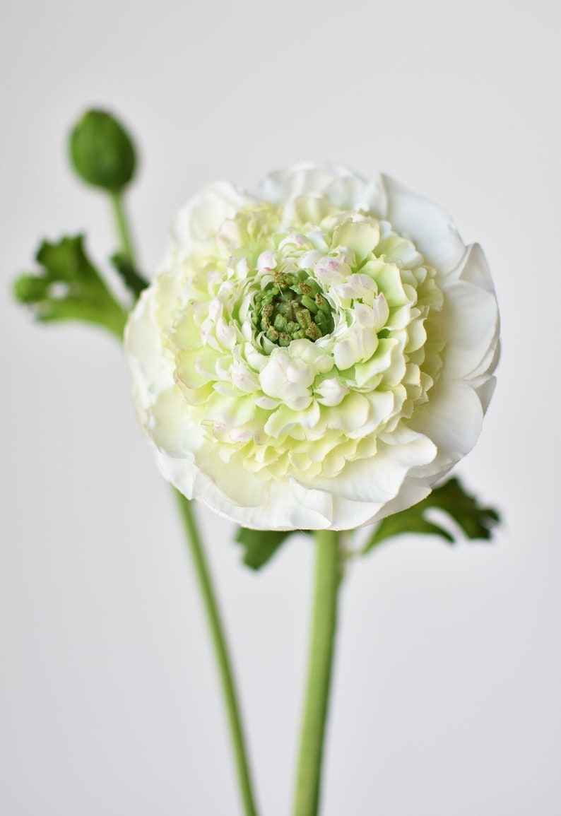 21" Faux Double Ruffled Ranunculus Stem White - Etsy