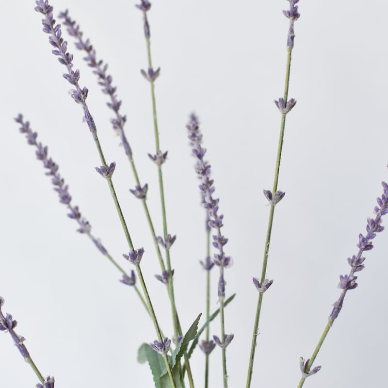 Lavender Sprigs - Etsy