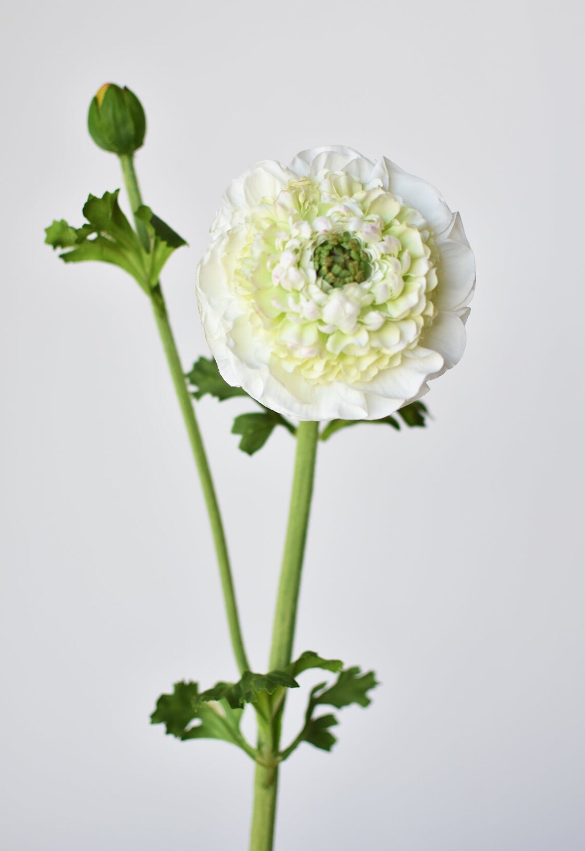 21" Faux Double Ruffled Ranunculus Stem White - Etsy