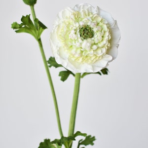 21" Faux Double Ruffled Ranunculus Stem White - Etsy