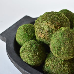 3" Moss Balls (set of 6) - Etsy