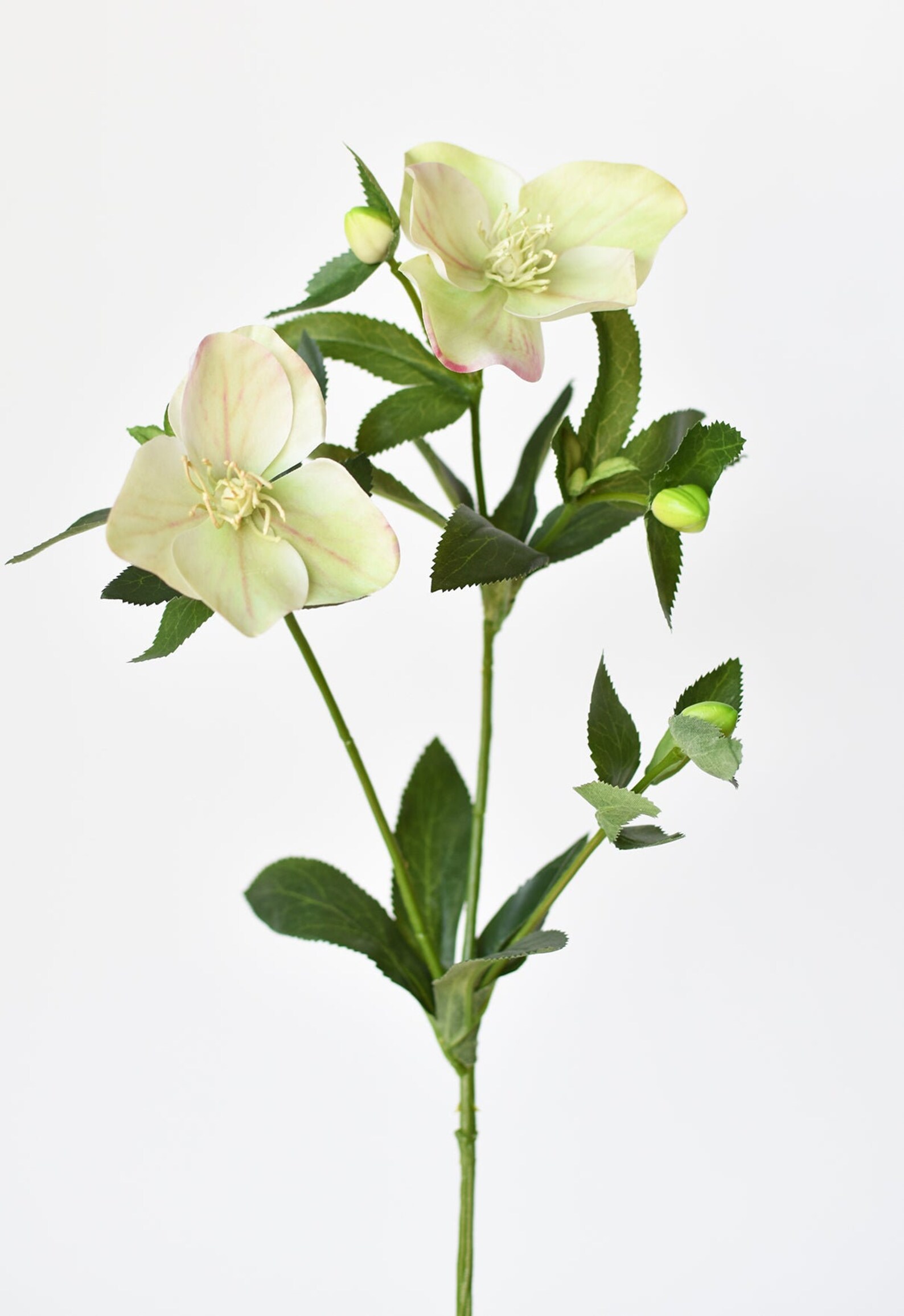 25" Faux Helleborus Stem Green - Etsy