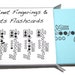 Clarinet Fingering and Parts Flashcards Brand New Item. - Etsy