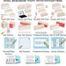 Music Scale Flashcards 50 Flashcard for Learning All Your Major ...