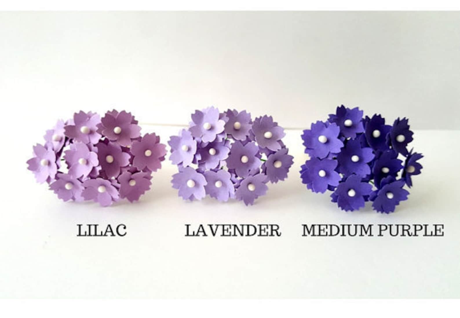 Buy Color Swatch Samples, or Buy Lace Swatch Sample - Etsy